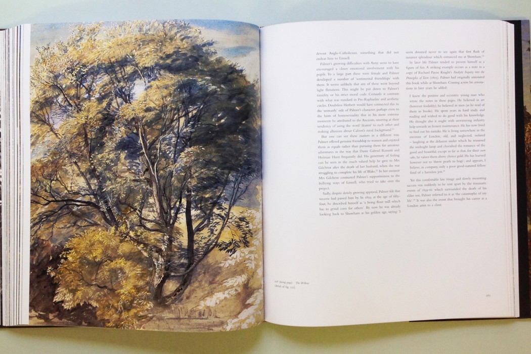 Samuel Palmer: Shadows on the Wall - Yale University Press London ...